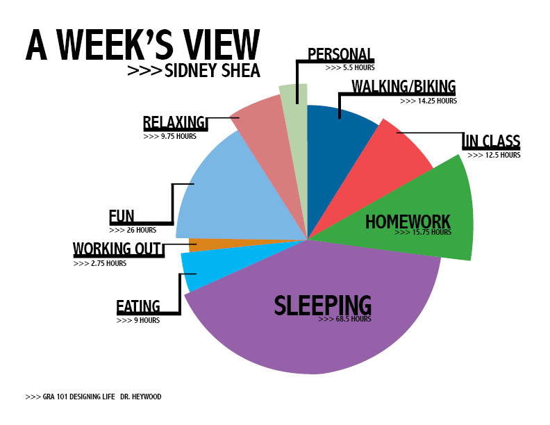Day in the Life – Infographic – Sidney Shea